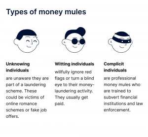 What’s Money Muling and How Does It Affect Businesses? | The Sumsuber