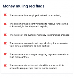 What’s Money Muling and How Does It Affect Businesses? | The Sumsuber