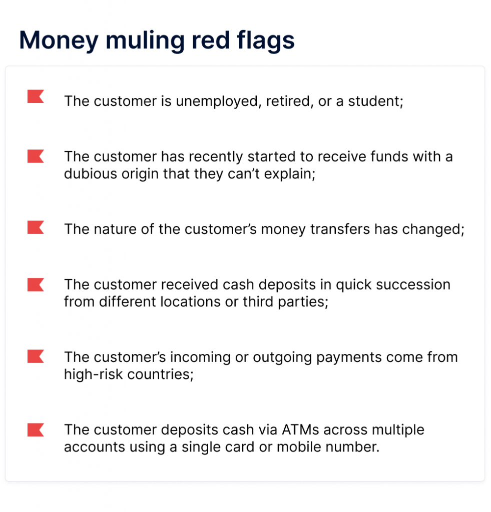 What’s Money Muling and How Does It Affect Businesses? | The Sumsuber