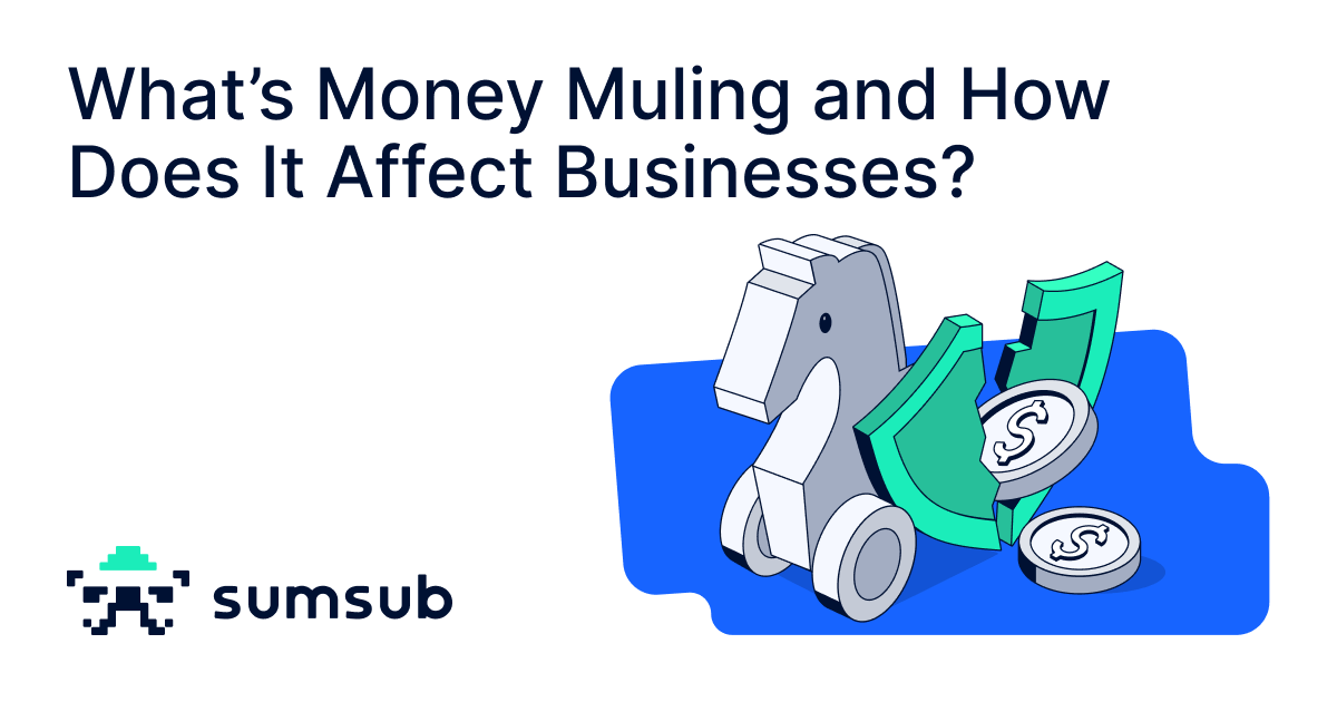 Money Mule Red Flags | The Sumsuber