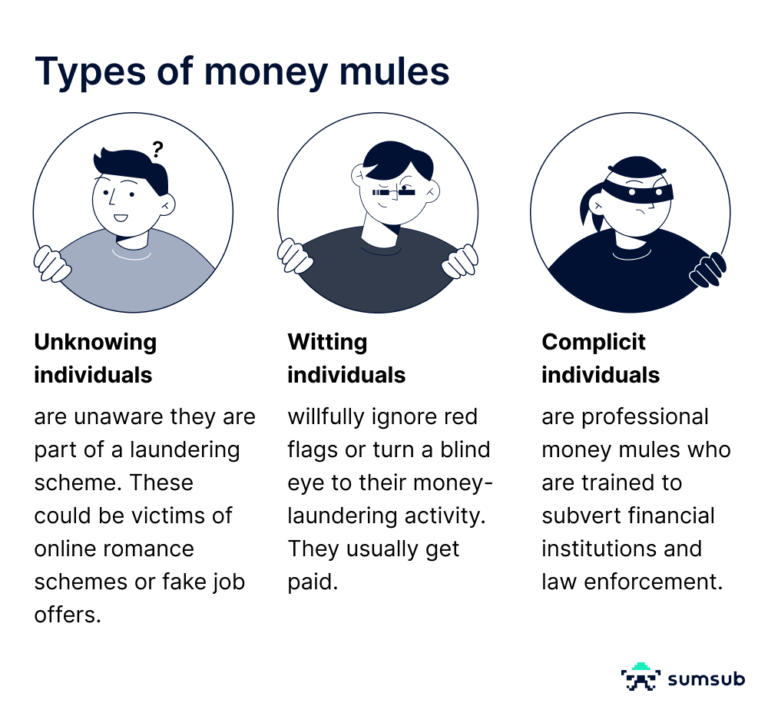 Money Mule Red Flags | The Sumsuber