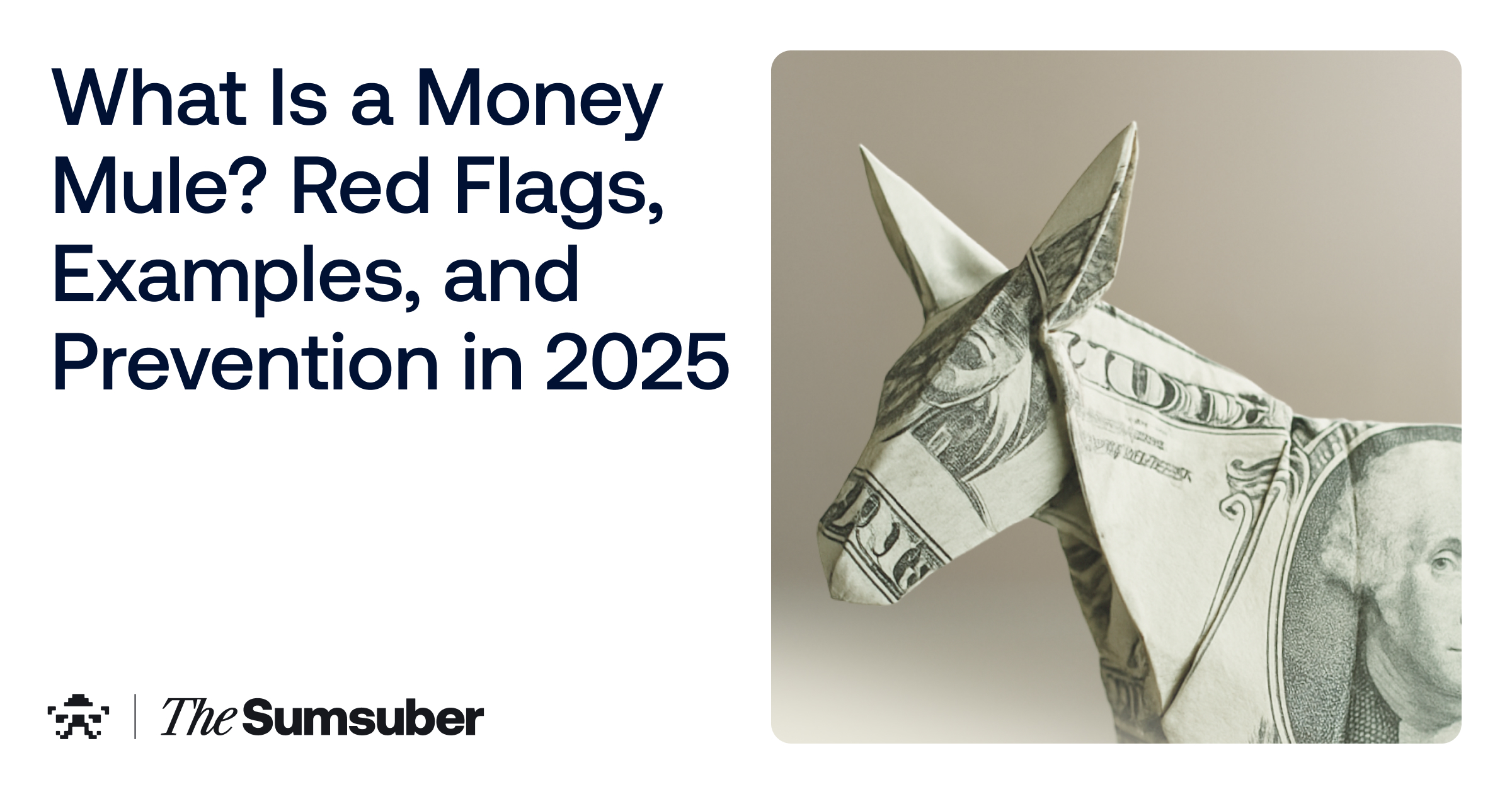 What Is a Money Mule? Red Flags, Examples, and Prevention in 2026