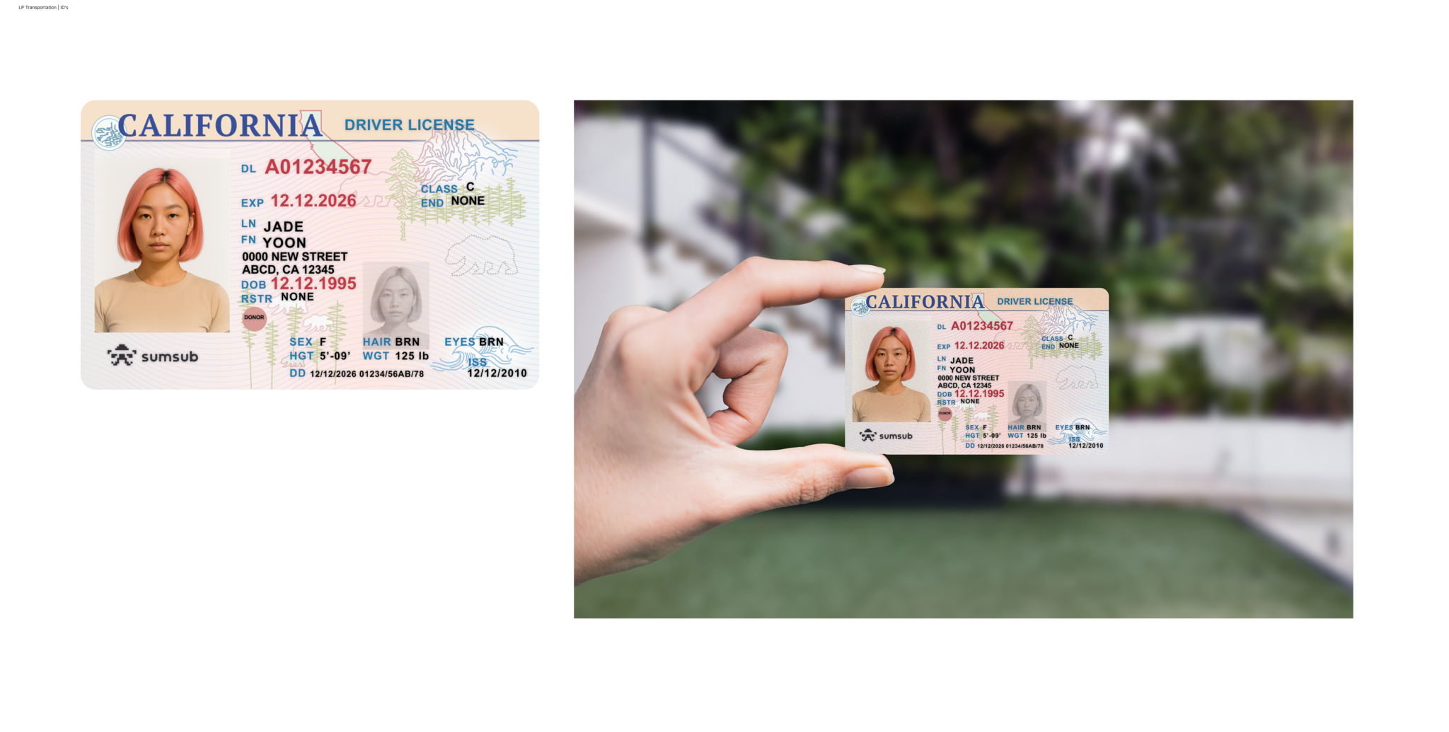 Driver’s License Verification in Mobility: How Platforms Stay Compliant ...