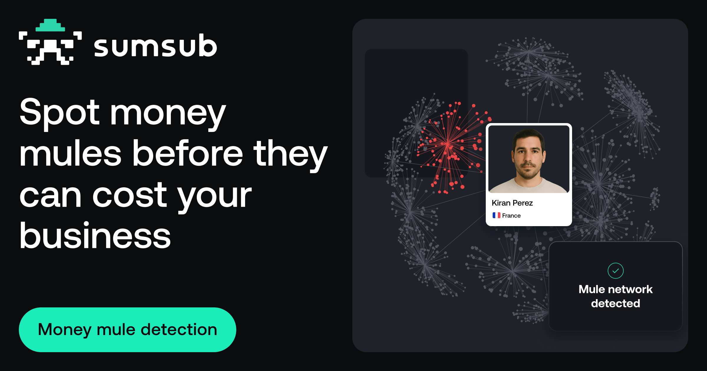 Money Mule Accounts Screening Solution | Sumsub